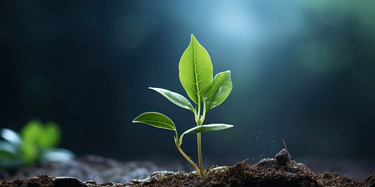 10 Ways to Grow Enrollment in FY25 - by Seth Odell