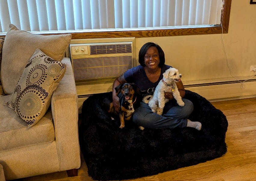 Review: Bedsure Foldable Human Dog Bed a 5-star review