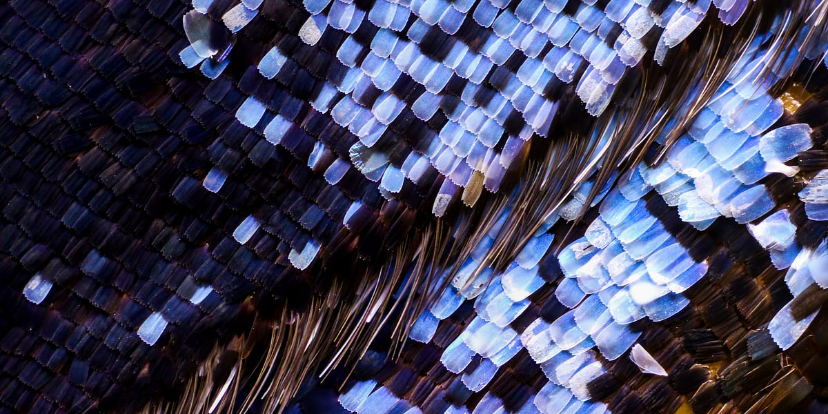 EMOTIONAL FREEDOM TECHNIQUE - by Binyamina Aisha