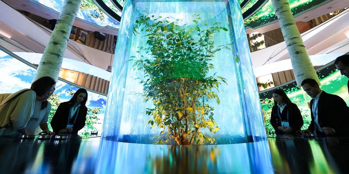 PETER LEWIS' MONEY TALK - Tuesday 12 November 2024