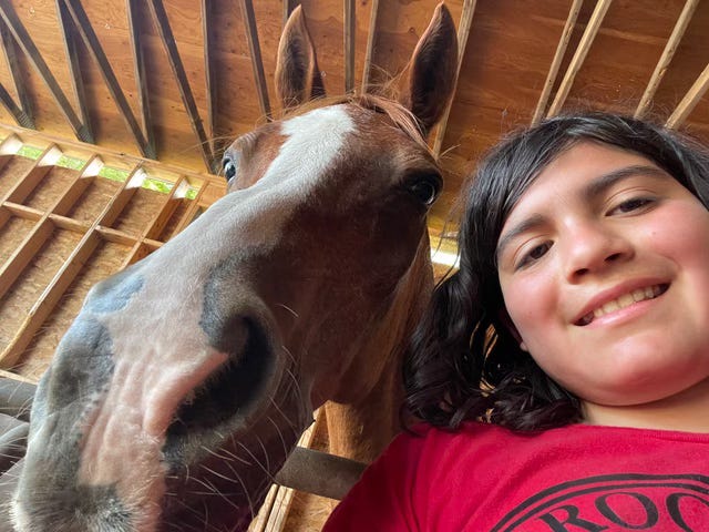 The Beaten Horse - by Alan Auckenthaler - Alan’s Substack