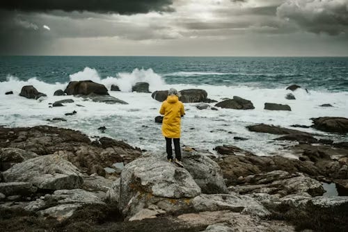 Seafields: An Innovative Ocean-Based Nature-Enhancing Solution To ...