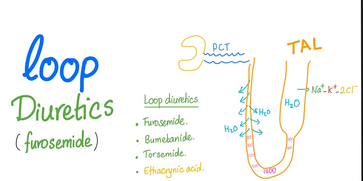 19. Loop diuretics (Furosemide)- Cardiac Pharmacology Course (Part 19)