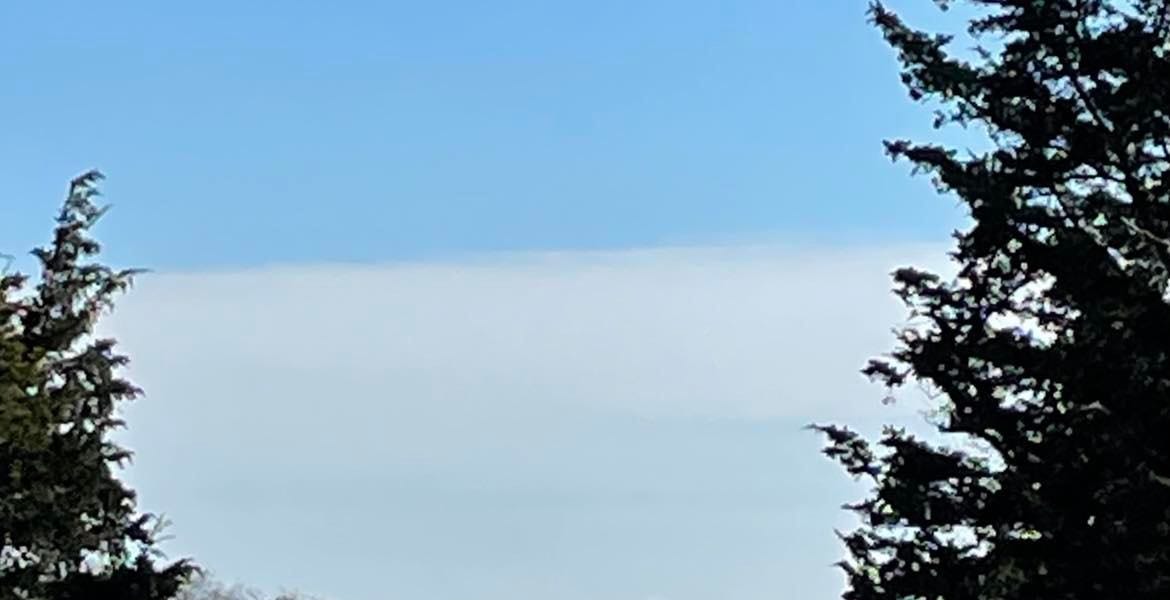 Sunday siesta - by Lucian K. Truscott IV