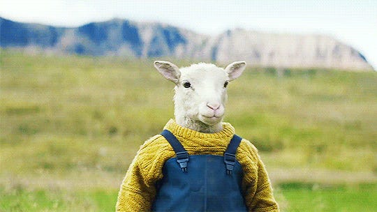 Review: Lamb (2021) - Ayesha A. Siddiqi