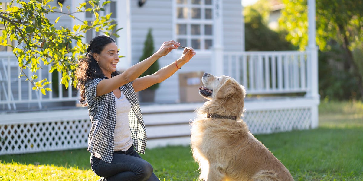 Mini-Feature: Animal Morality? - by The American Mind