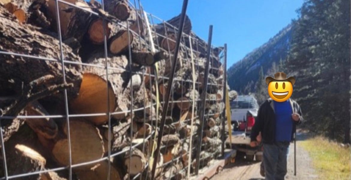 Let it burn - #64 - by Kelton Wright - Shangrilogs