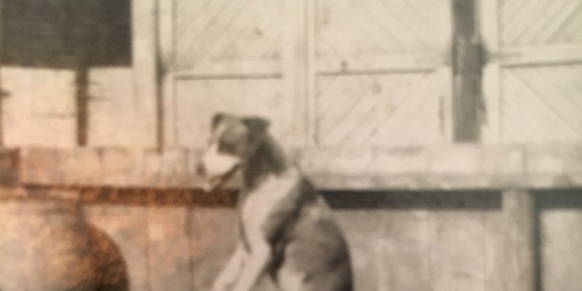 Oracle, Teradata, and Revenge of the Legacy Database Vendors