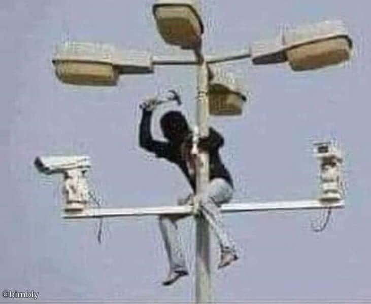 Midweek Memes - by Amy Sukwan - Amy’s Newsletter