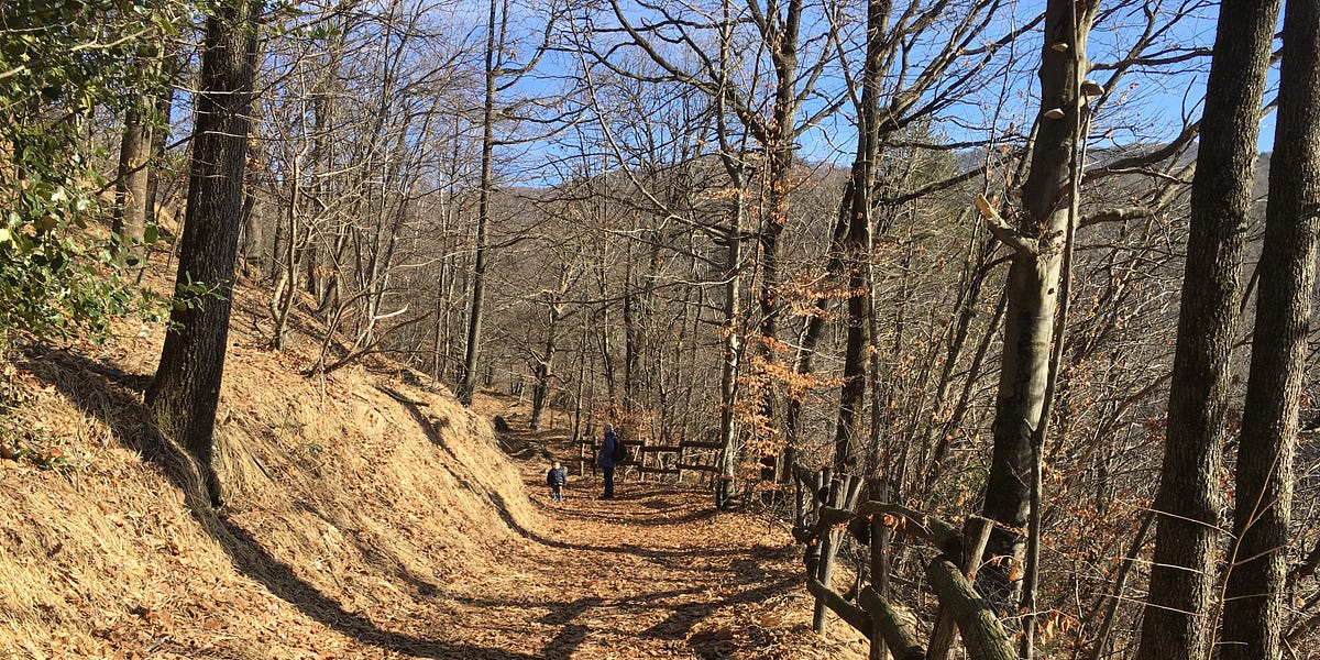 ll Campo dei Fiori e i suoi sortilegi - by Francesco Lovati