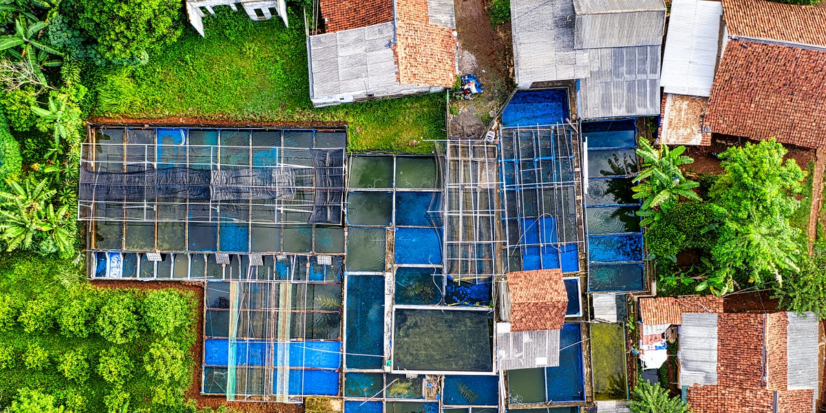 What Does Jesus Think of All the Religious Division Today?