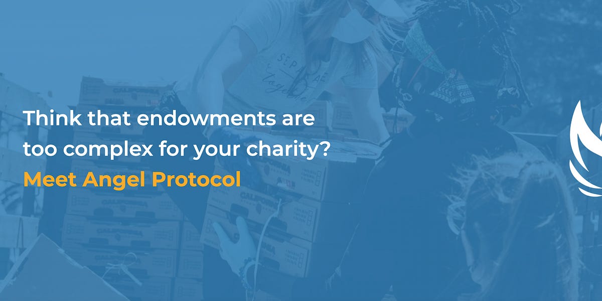 What Is Angel Protocol? - by Cosmonaut Jay - Luna Digest