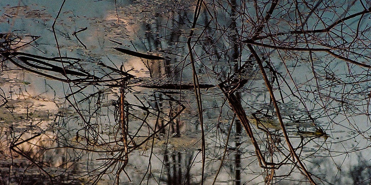 The Upside Down - by maggie - ostranenie