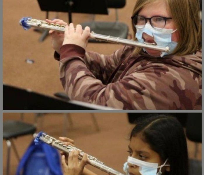 Flute Masks with Holes in Them - Veronica Swift