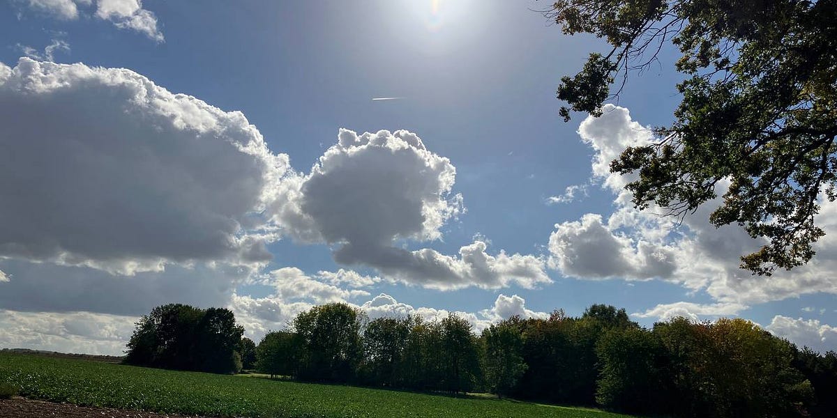 Taught at school - by David Lawn - David’ Lawn Newsletter