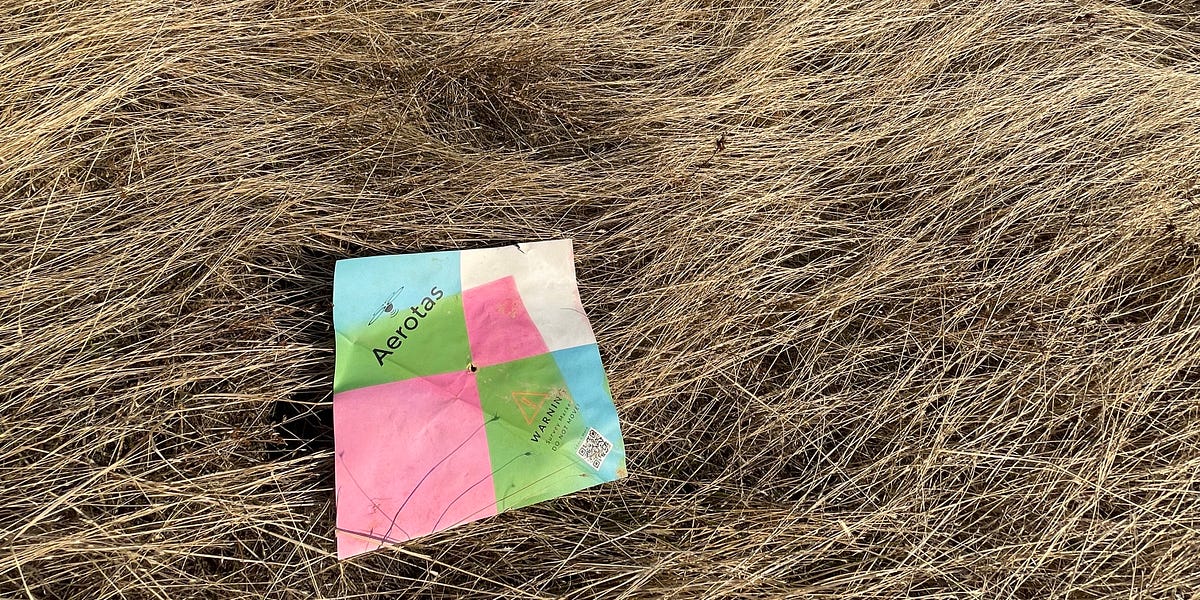 paper; fossil; alphabet; potluck