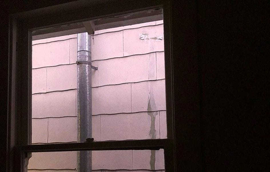 American Dream - by Meg Conley