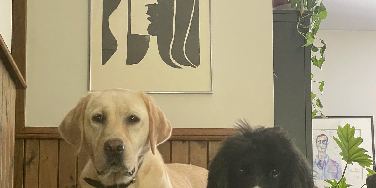 My Old Kentucky Picasso - by Jeff Rabkin - The Last Friday