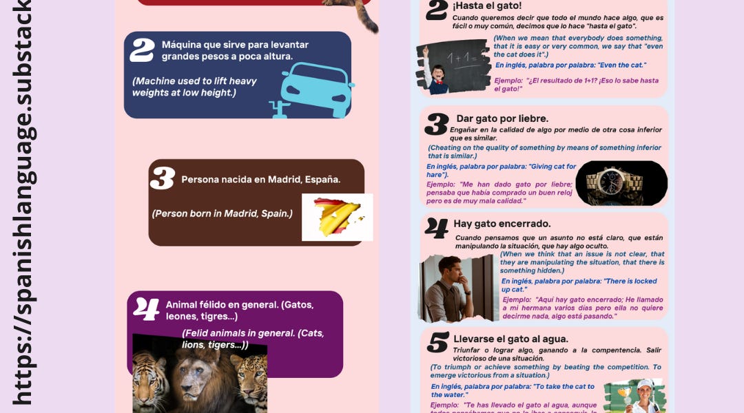 Podcast - Uses and Expressions of the word "GATO" in Spanish. (With ...