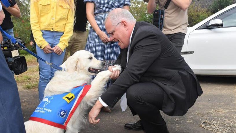 Week #1 - by Pat McCaffrie - 5 More Weeks Of This?!