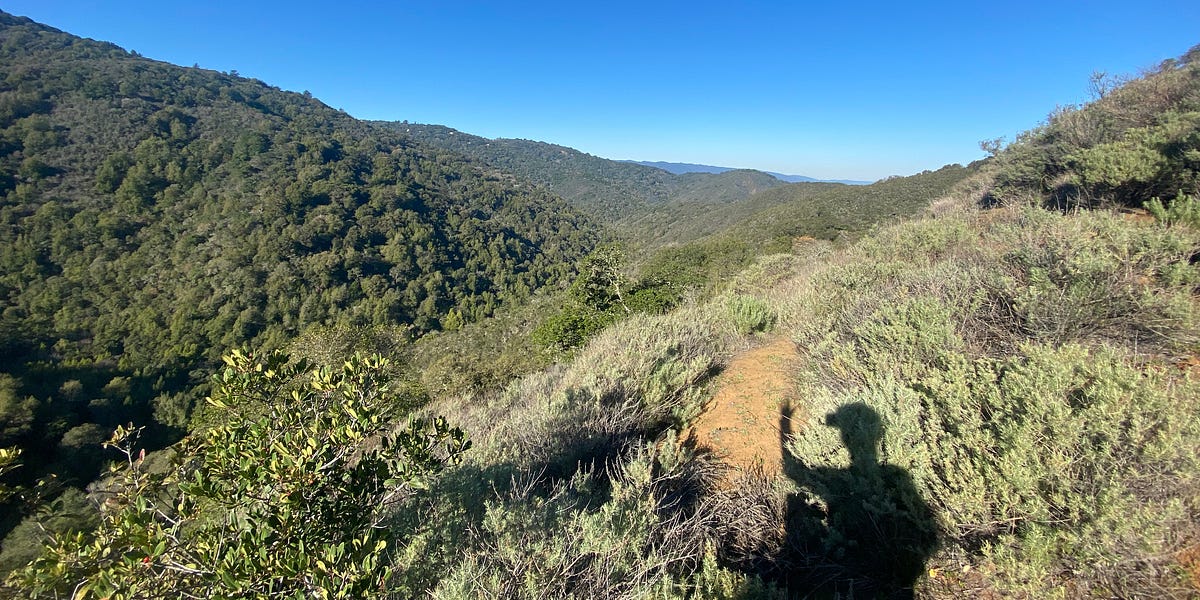 A LETTER FROM THE PAST - by Jenn Eisner - The Shed