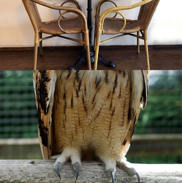 Behavior Change and Getting Creative - by Alissa Condra