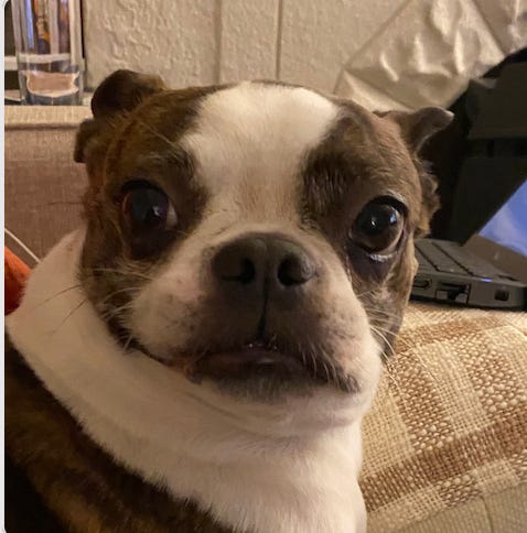 Testing!! - by Josh @ Substack - Second Cluster