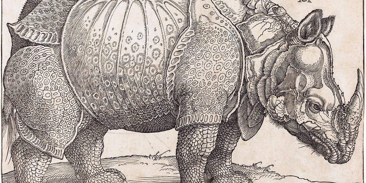 Dürer's Rhinoceros (1515) - by Peter Pappas