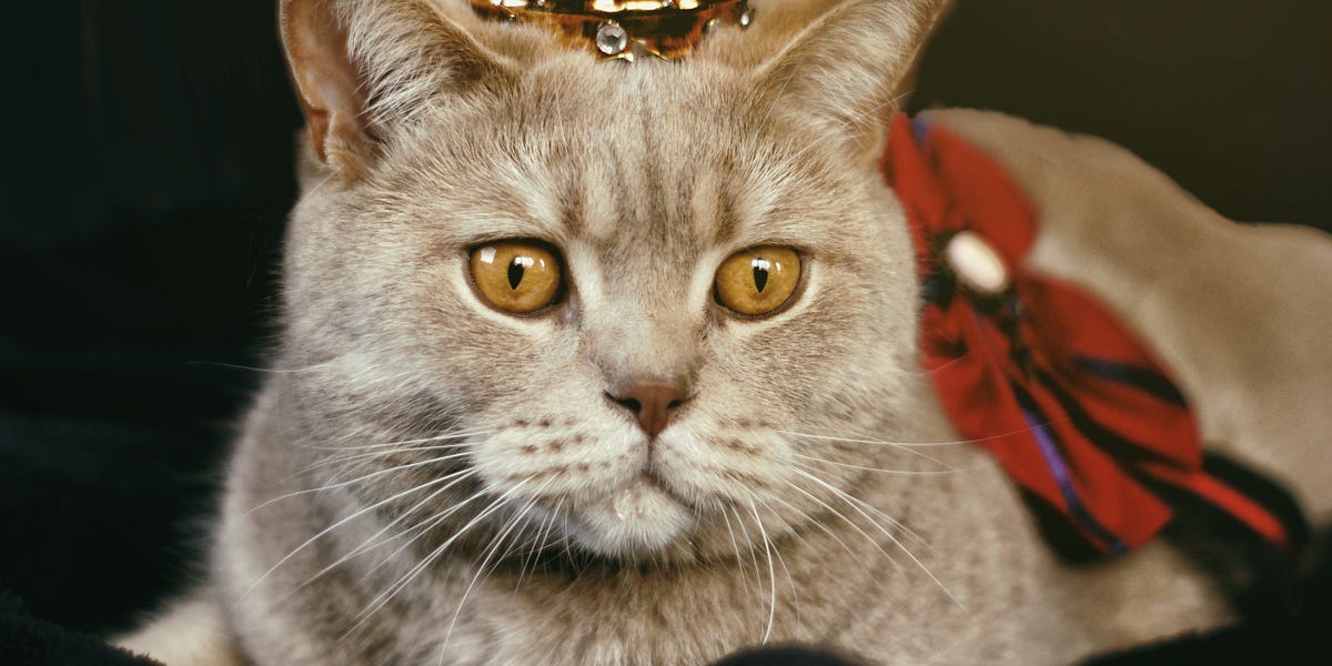 The Queen Is Dead - by Ben Thelen - Dead Reckoner