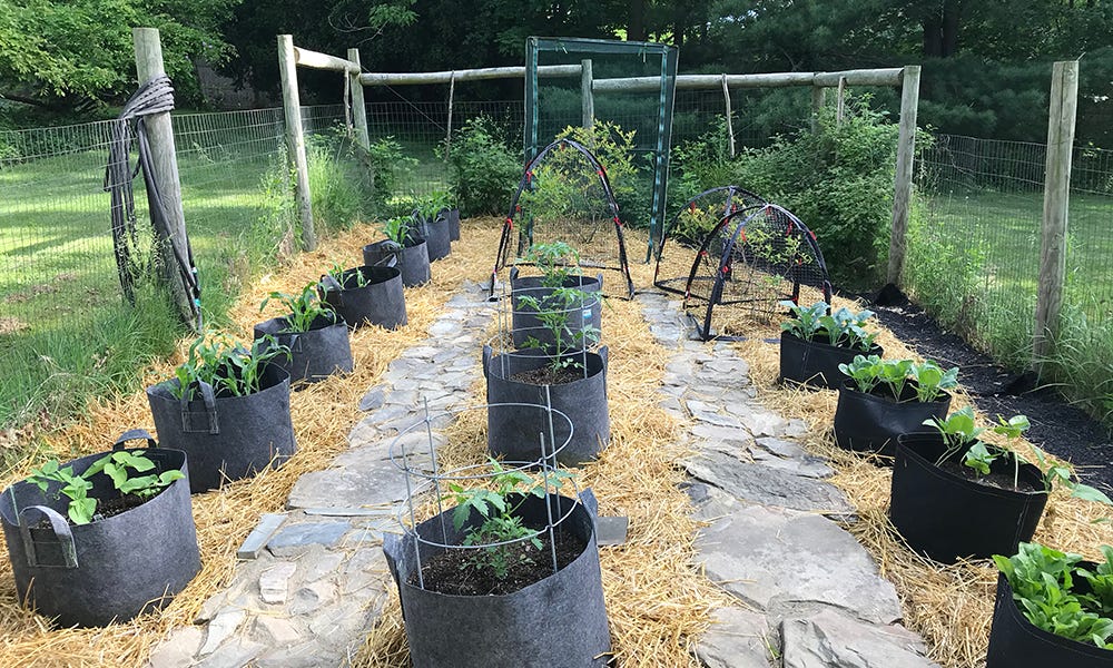 The Sad Garden, Part 1 - by J. M. Elliott - Glenshee