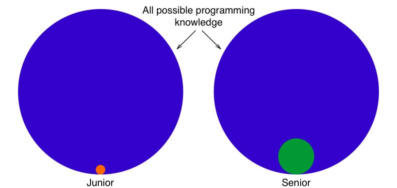 What, really, is the difference between junior and senior developers?