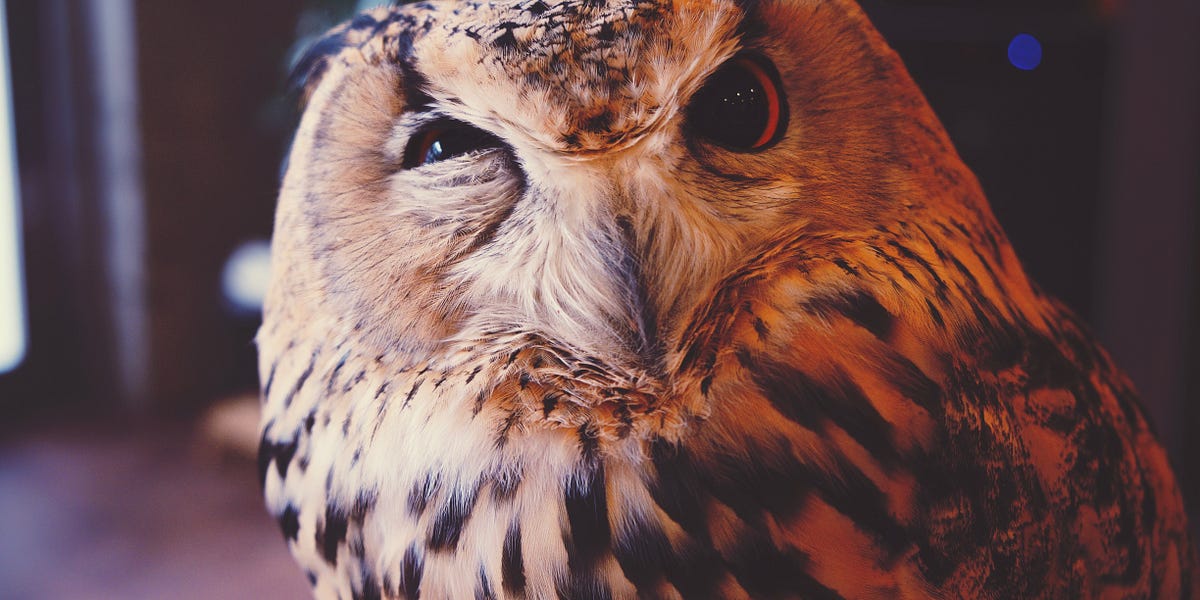 Complexity: the new analytics frontier - by Anna Filippova