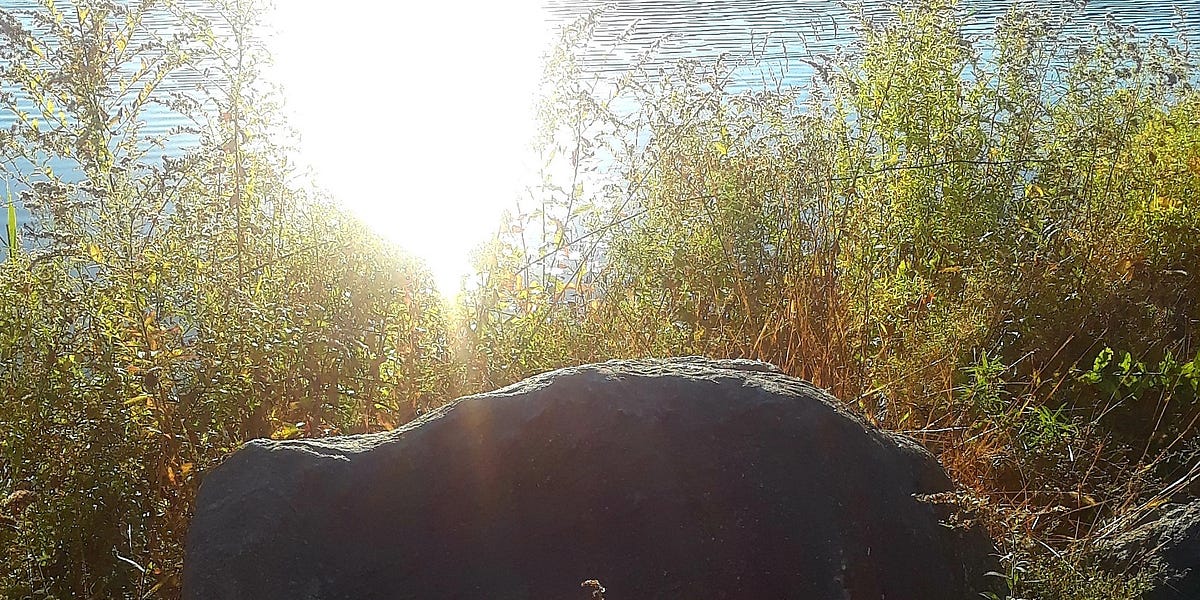 Innocence - Peter Daou