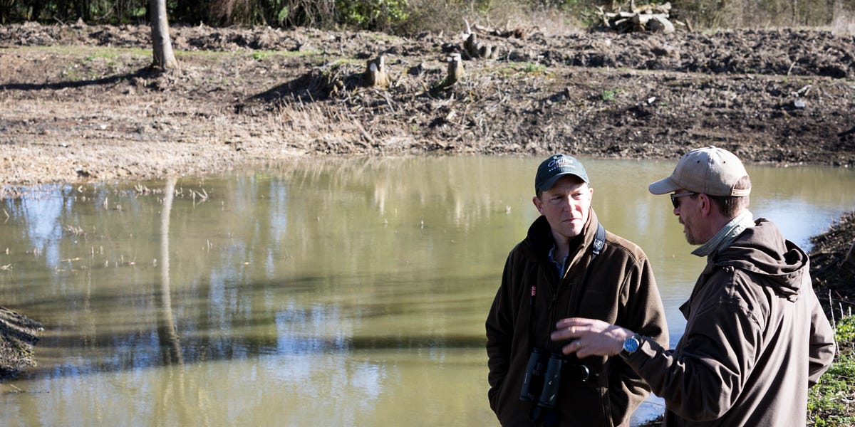 The Water of Life - by Richard Negus - Words From The Hedge