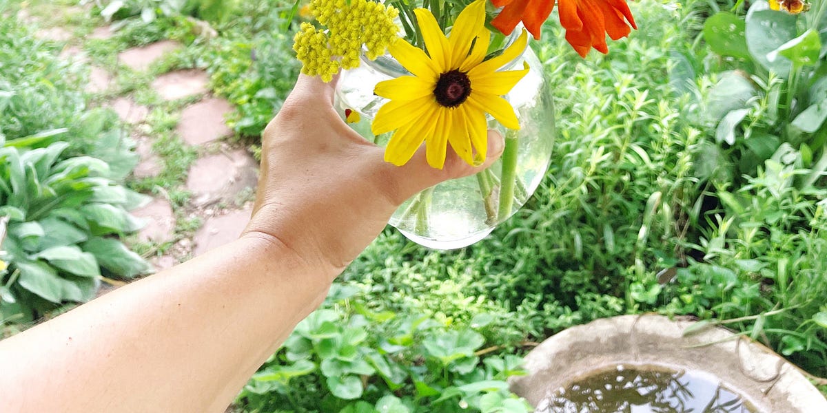 How a yard turns into a garden - Ashley Heider Daly