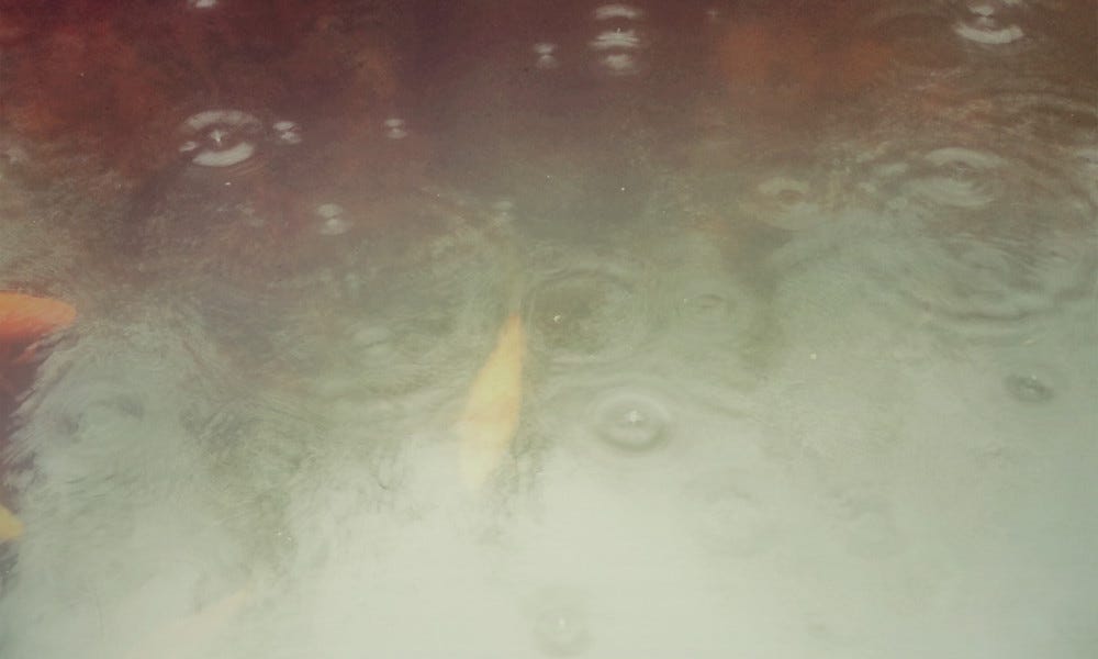 475 / pond reflections - by Marcus Fischer - Dust Breeding