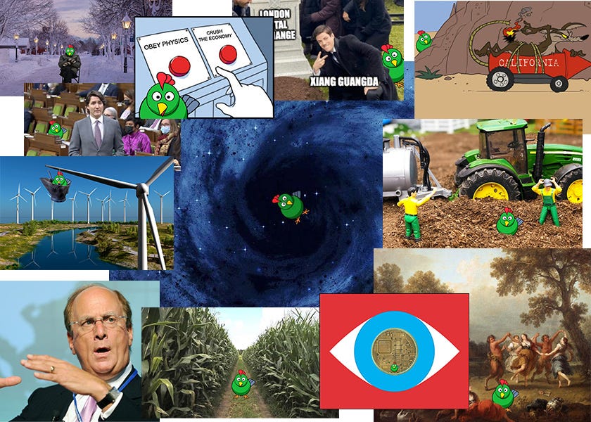 The Year of the Chicken - Doomberg