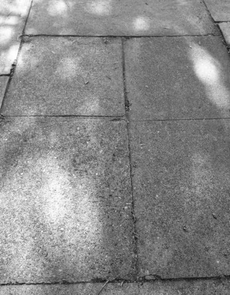 Monday, April 12, 2021 - The World of Tosh Berman