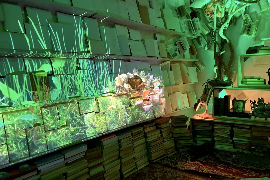 The Magic Hour - by David Ward - Adjusting the Dial