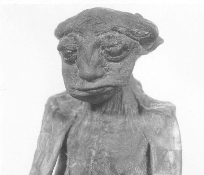 More Tales of the Little People of the Northern Rockies