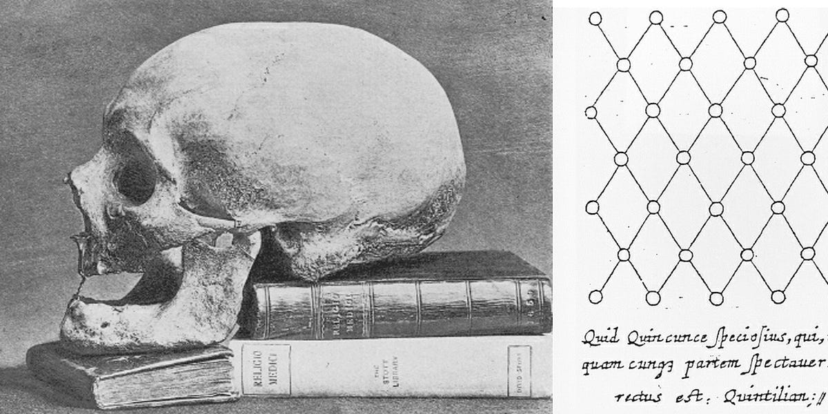 Dissecting Sebald - by Andrew Smith - Walks with Max