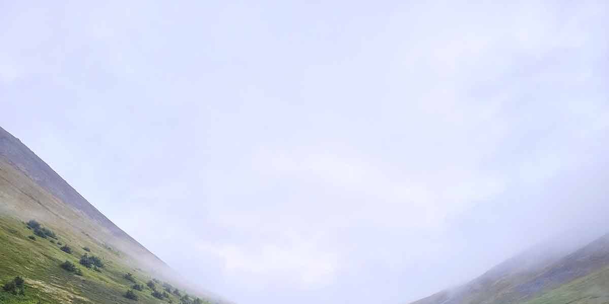 Slamming Some Type II 'Fun' - by Hank Shaw - To The Bone