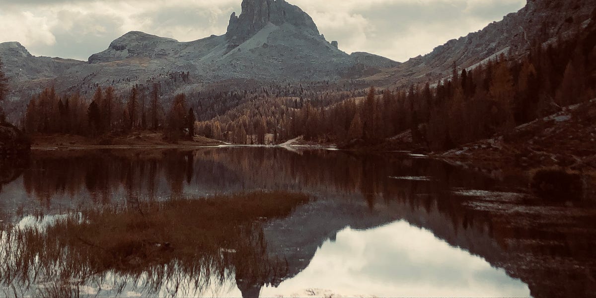 What’s my Purpose? - by Reece Willcox - Reece's Pieces