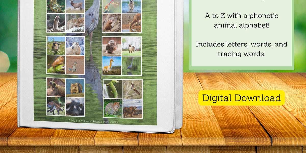 A New ABC Phonetic Animal Book - by Mercy