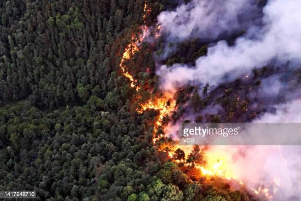 How did China’s Chongqing win the battle against wildfires