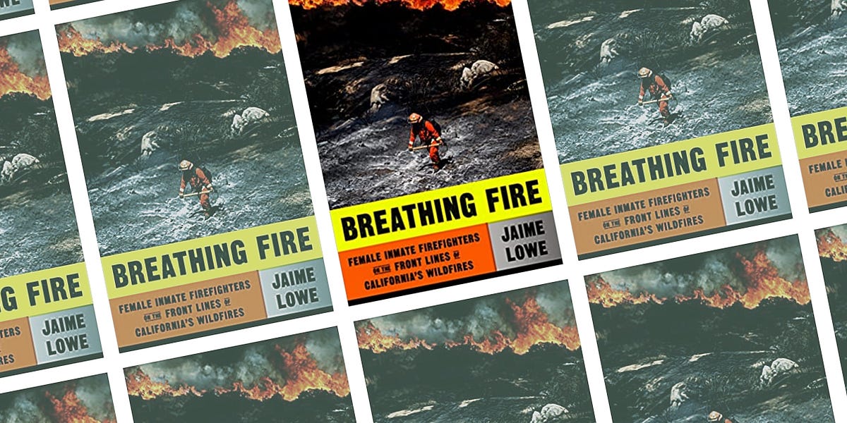 Book #13: Breathing Fire - by Jess Schreibstein
