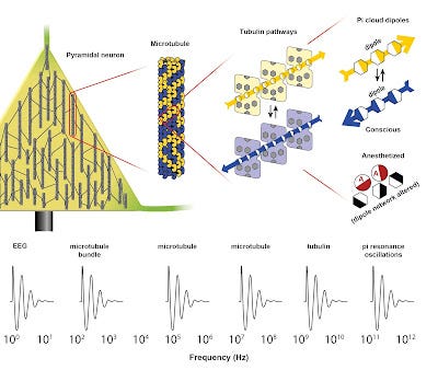 What is Intelligence: Cellular Intelligence