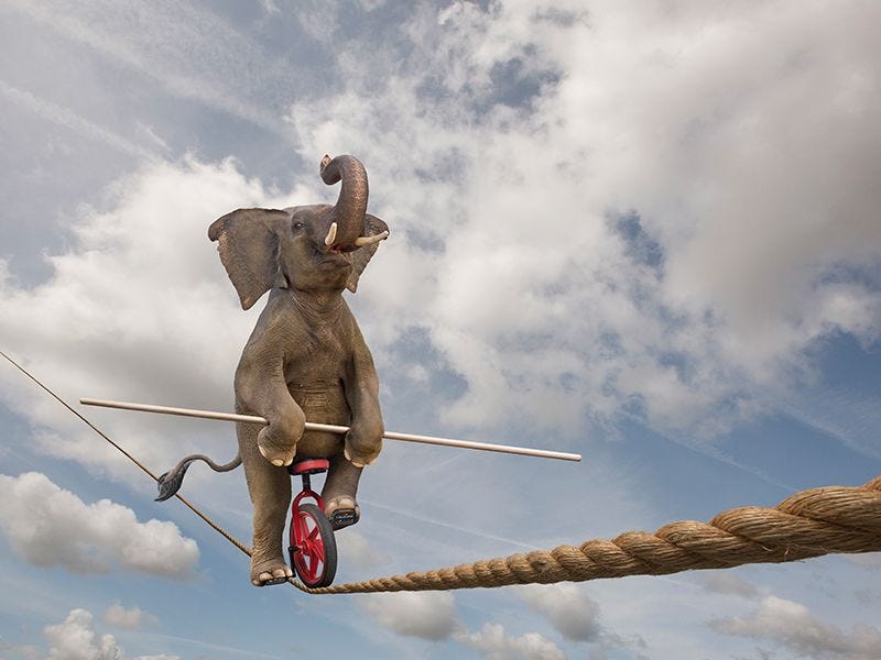 Los riesgos - by Adam Tyner - El Proyecto Romance