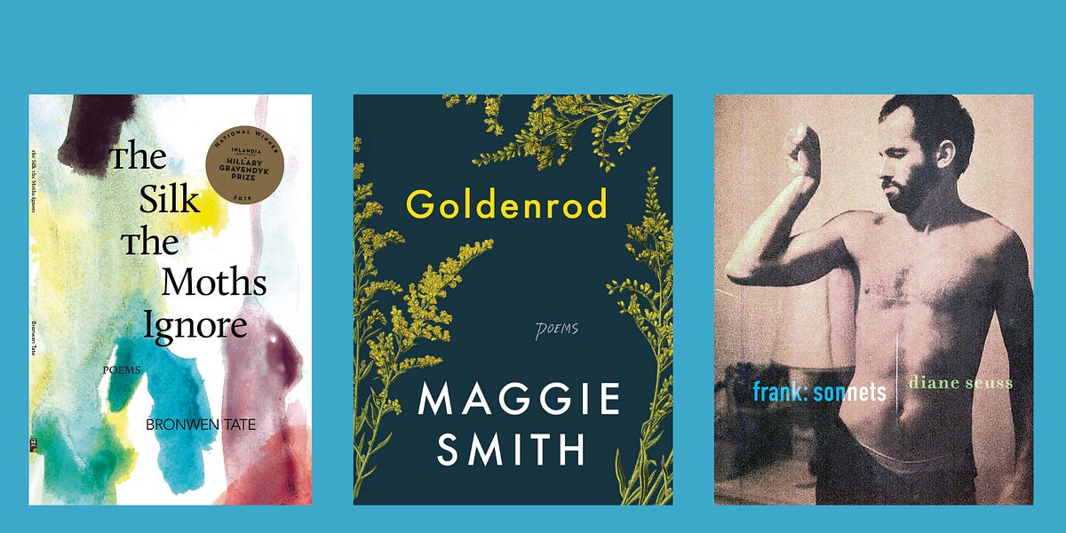 Caressing the Noun - by Bronwen Tate - Ok, But How?