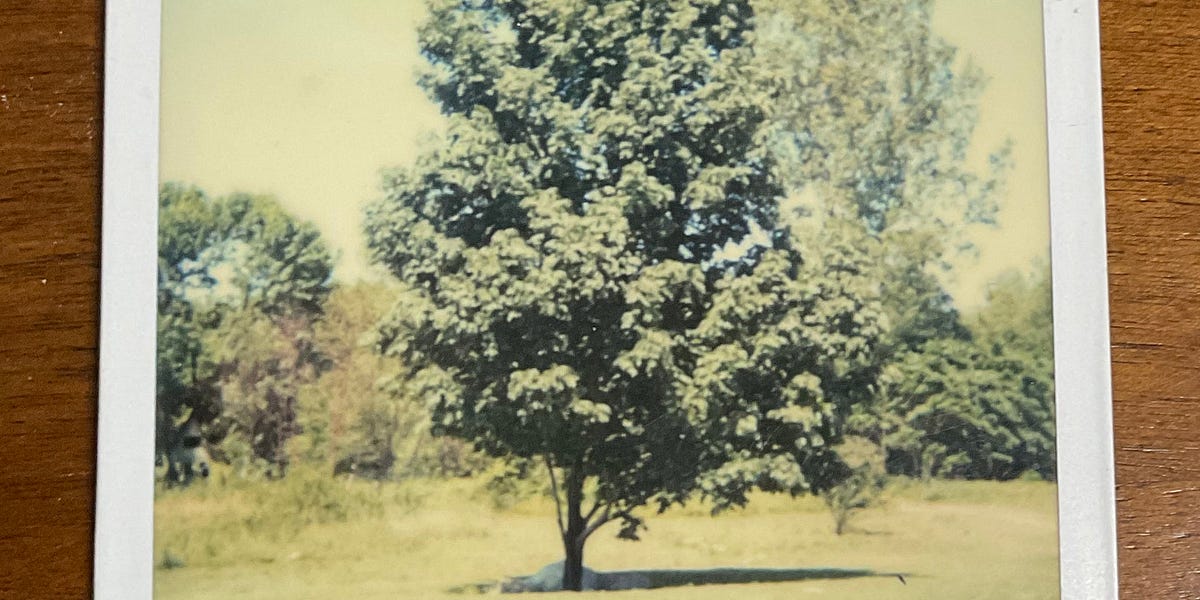 1: What Stops Us? - by Daniel P. Huffman - Dryad